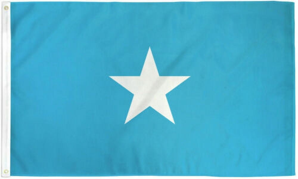 Somalia Flag 3x5ft Flag of Somalia Somalis Flag 3x5 House Flag 100D ...