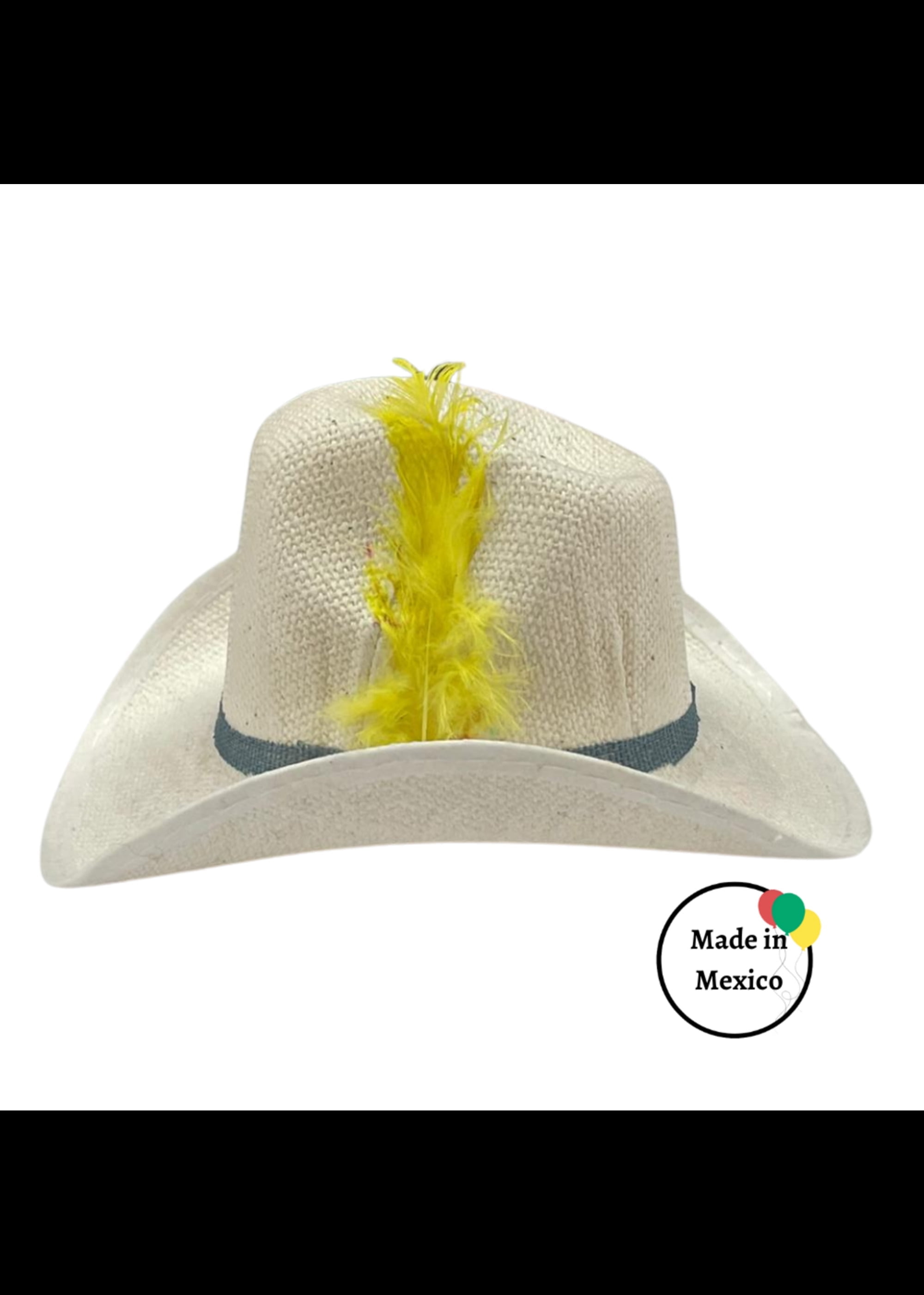 Sombrero Tejano con Pluma - Walmart.com