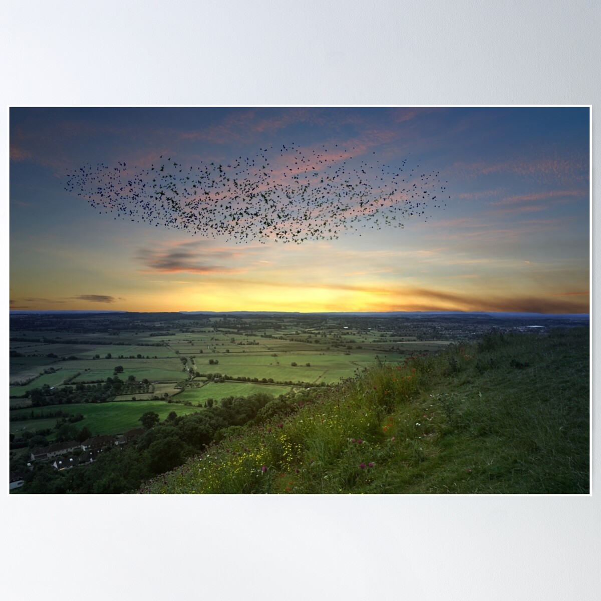 Somerset Levels Starling Murmuration Poster Wall Art, Modern Wall Decor ...