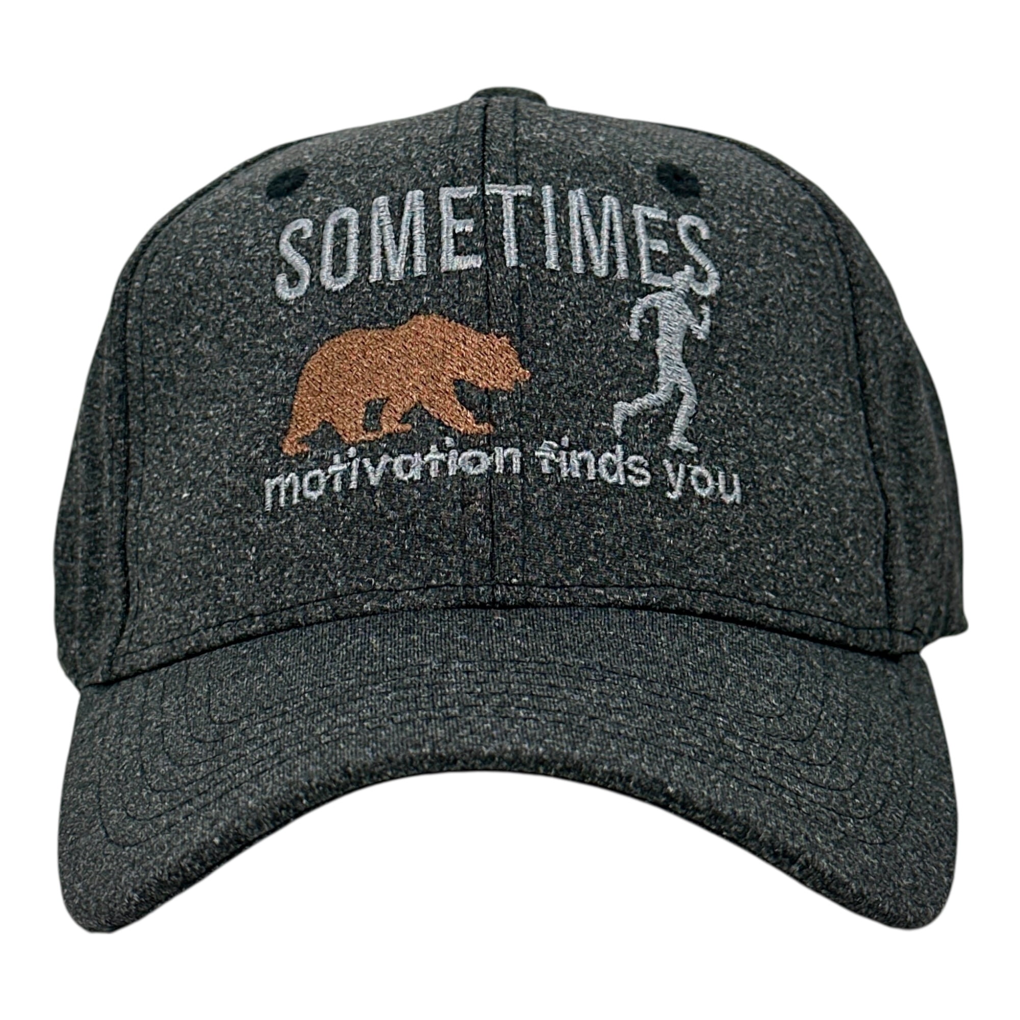 Sometimes Motivation Finds You Bear Hat Funny Sarcastic Graphic Novelty ...
