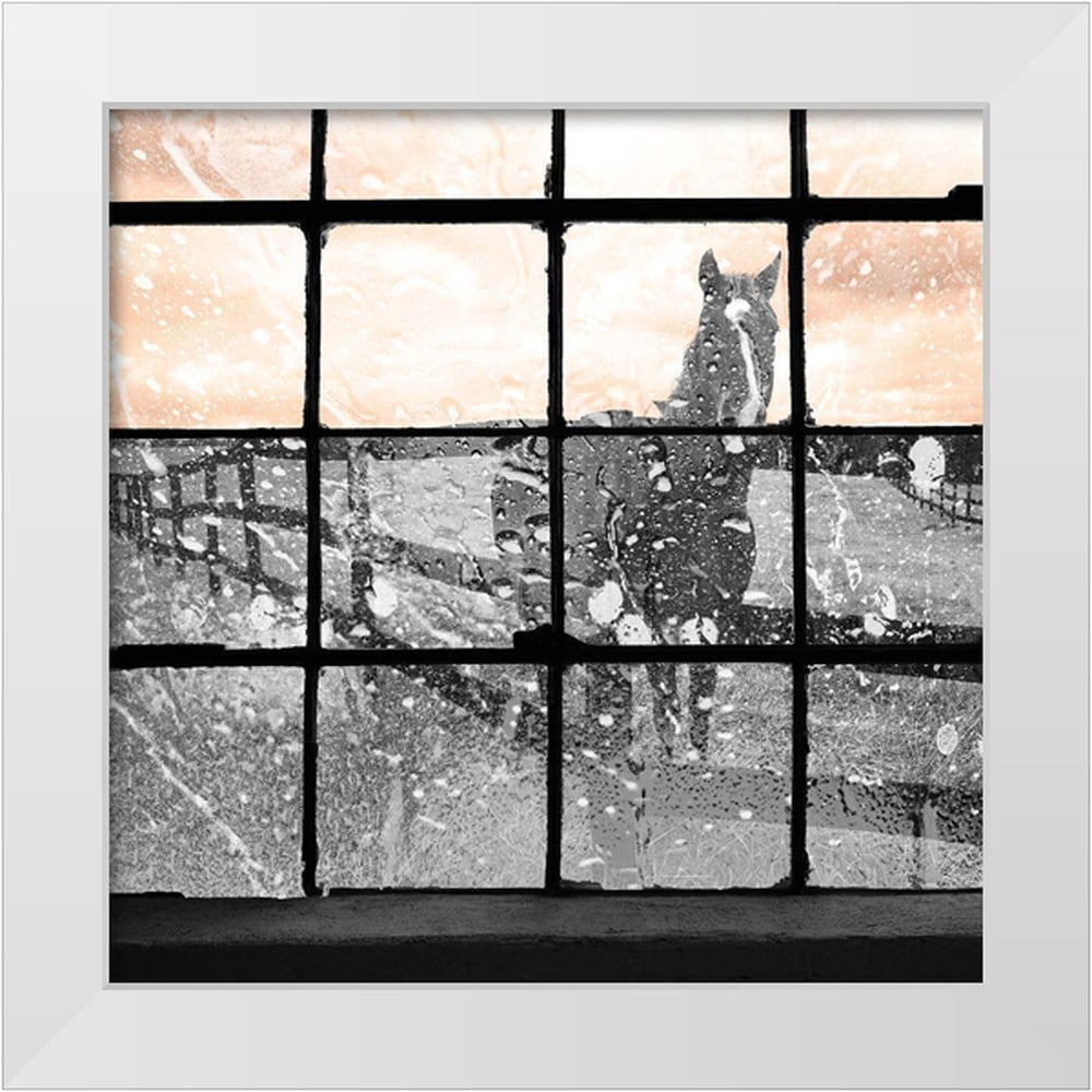 Sommers, Mindy 26x26 White Modern Wood Framed Museum Art Print Titled ...