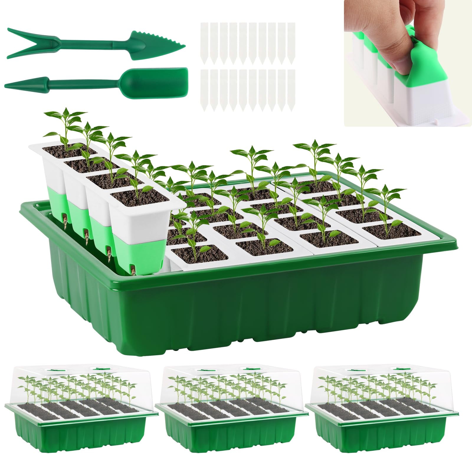 Sondiko Seed Starter Tray with Soft ITL1 Silicone Cells, 80 Cells ...