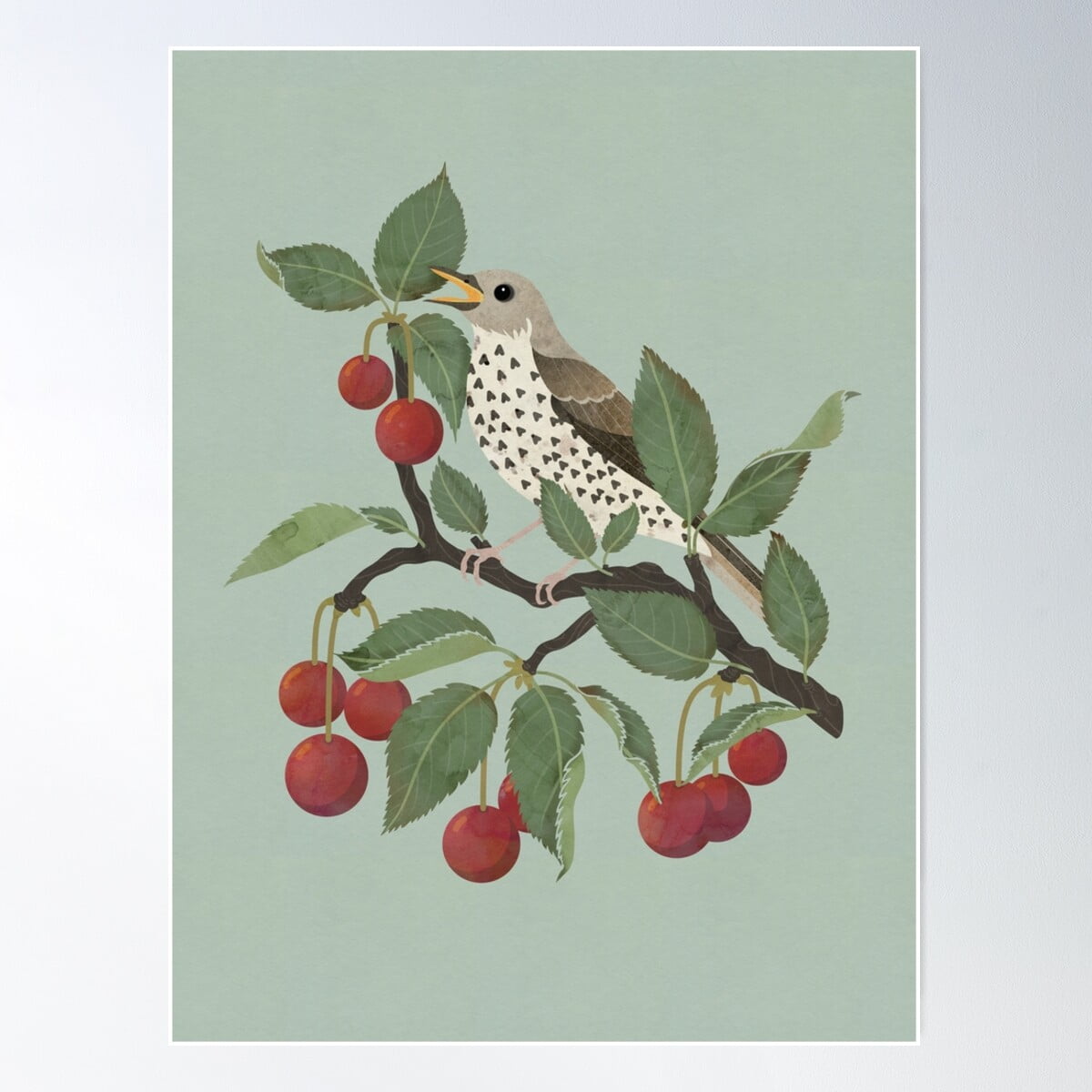 Song Thrush In Cherries Poster Wall Art, Modern Wall Decor For Living ...