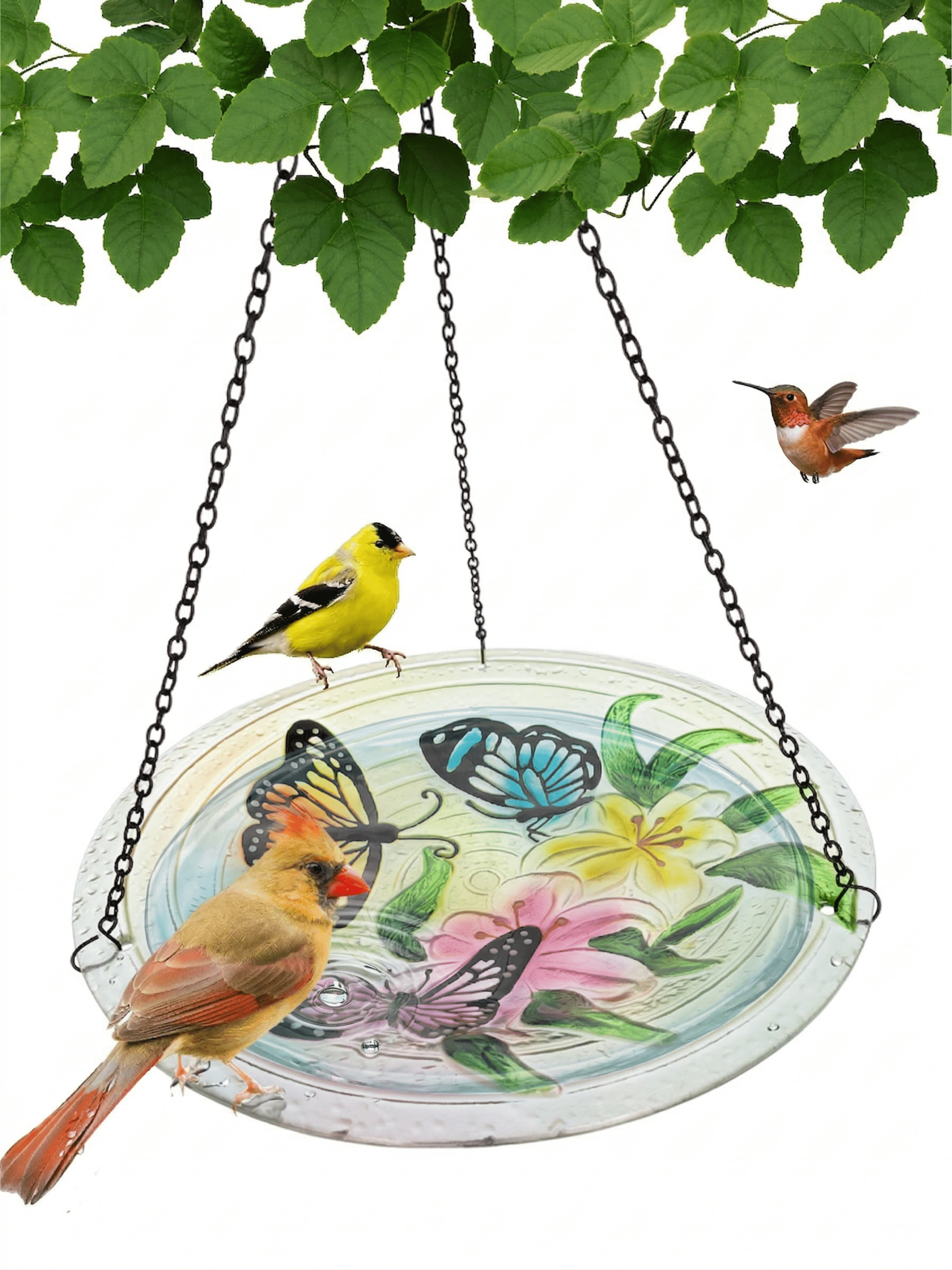 Songbird Essentials 13in Round Bird Bath, Outdoor Glass Hanging ...