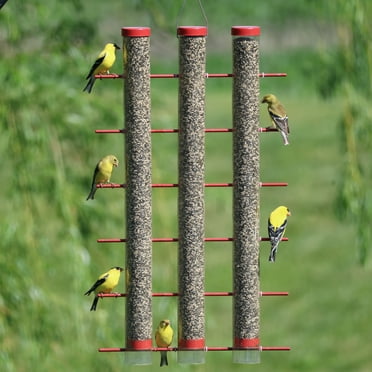 Backyard Essentials Bluebird Feeder Bird Seed and Mealworms Bird Feeder ...