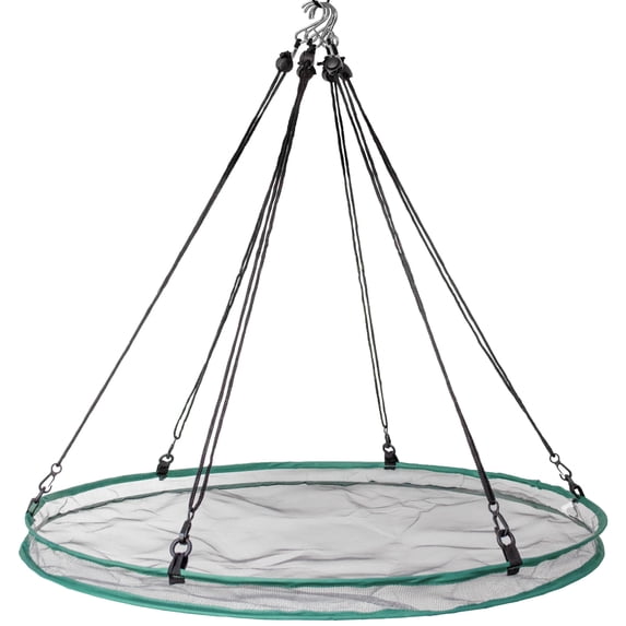 Songbird Essentials Bird Seed Catcher Hoop for Bird Feeders, 24 inches ...