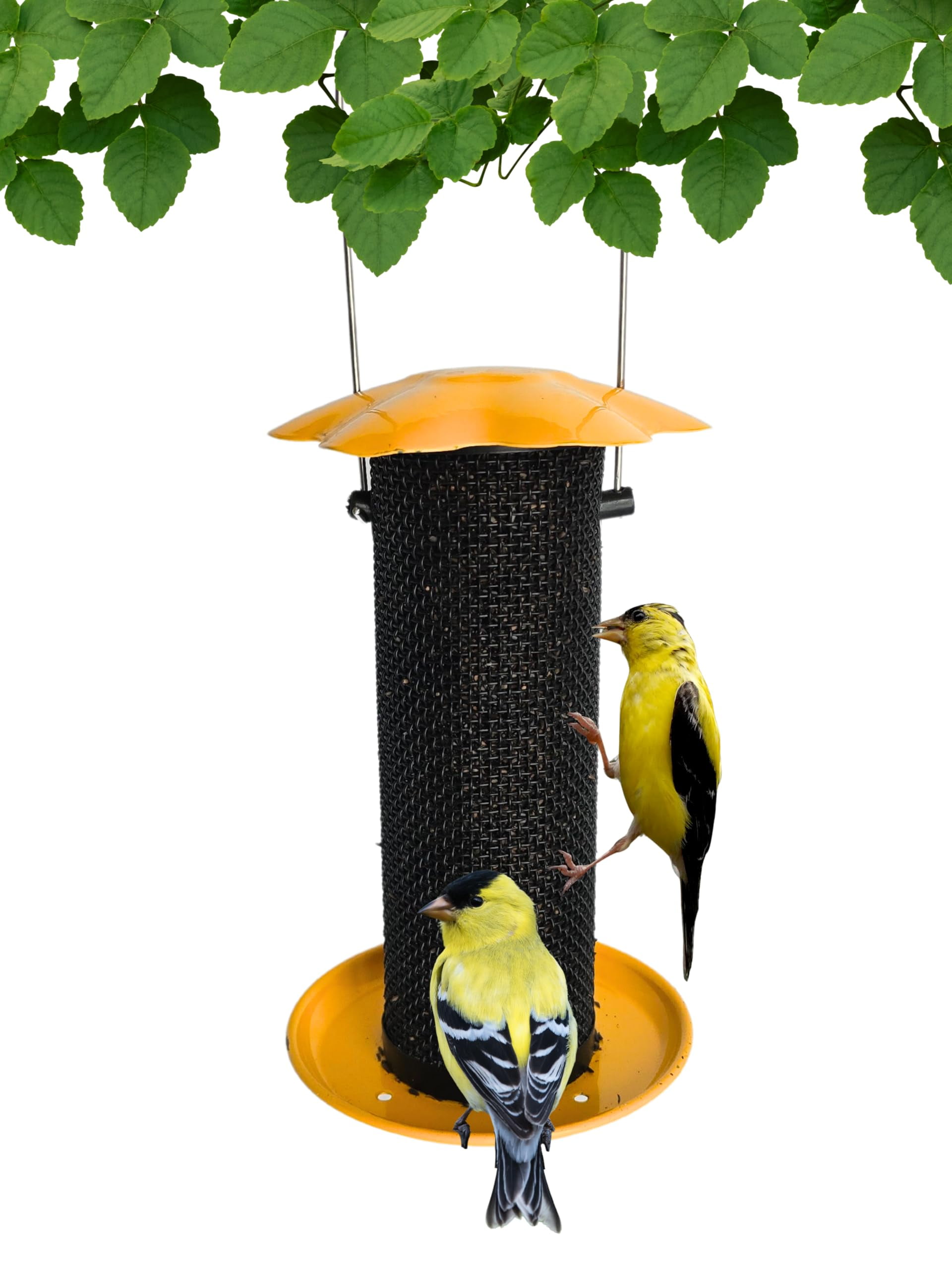 Songbird Essentials Gold Finch SSF20 Feeder for Outdoor Hanging ...