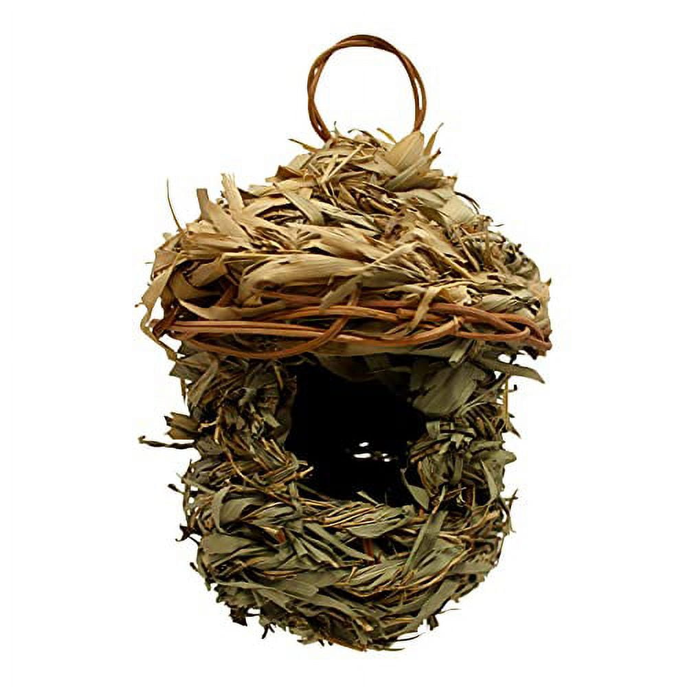 Songbird Essentials Hanging Grass Roosting Pockets and Houses - Acorn ...