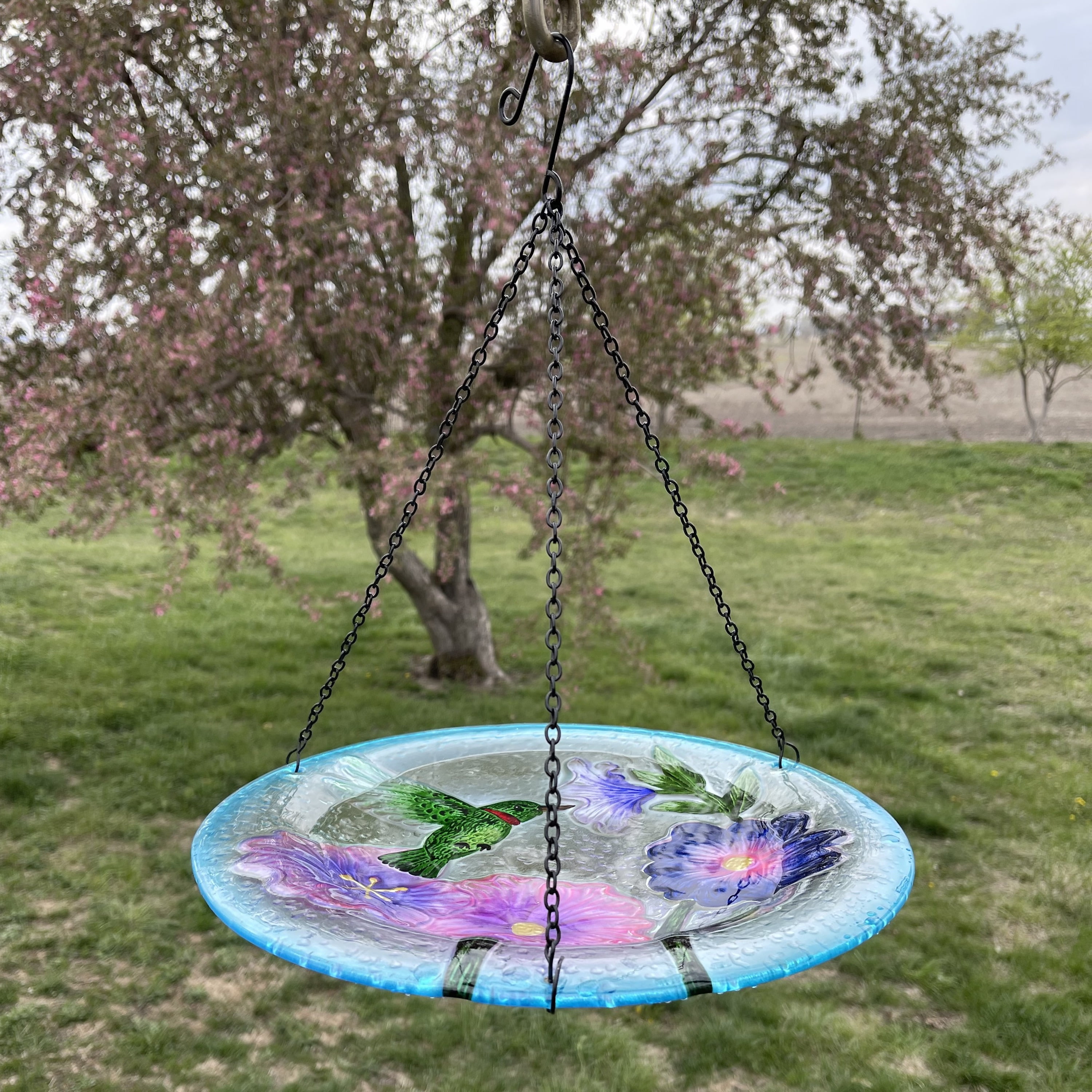 Songbird Essentials Hummingbird Bird Bath, Glass Hanging Birdbath, 13in ...