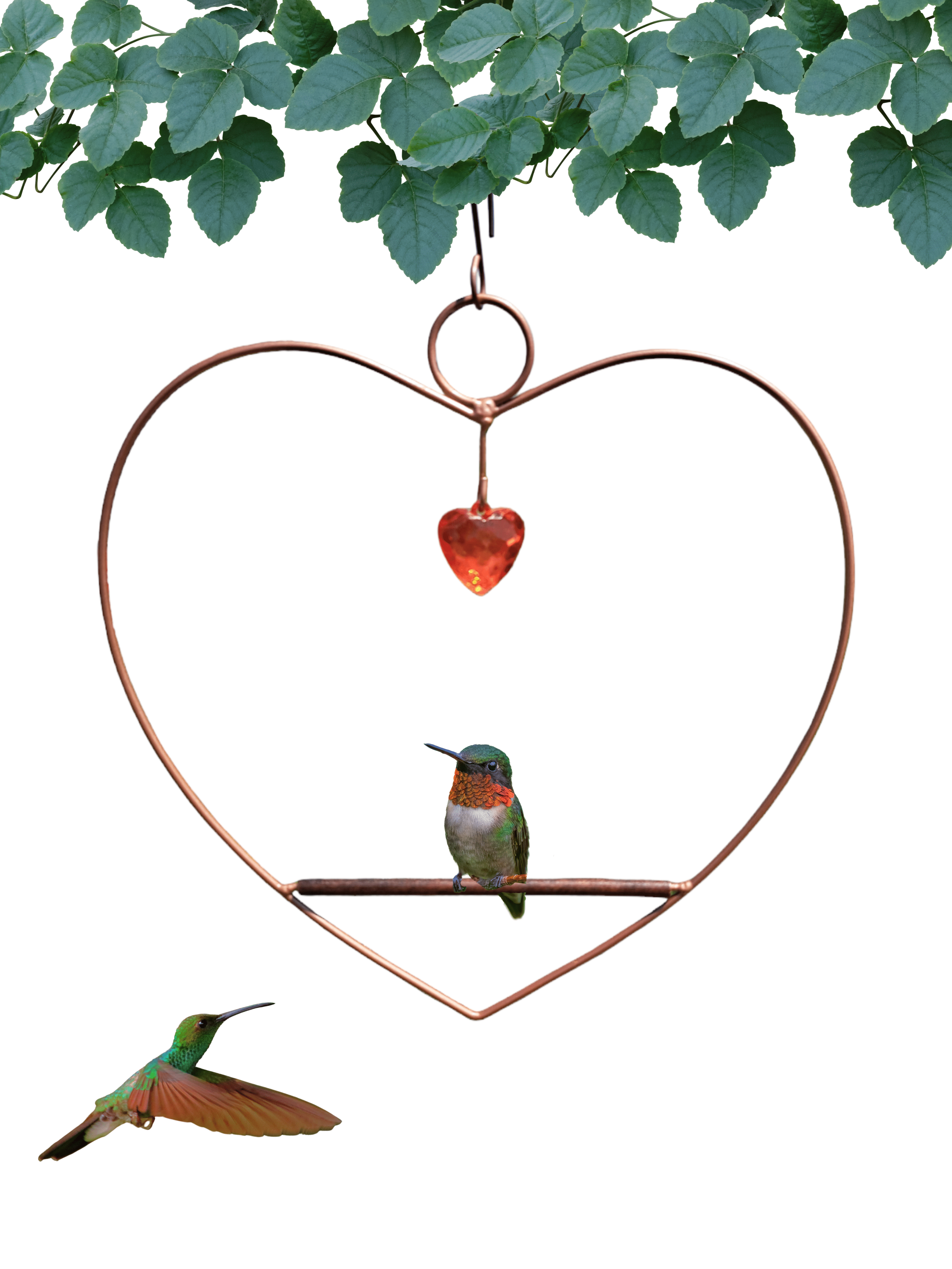 Songbird Essentials Copper Heart Hummingbird Swing, Outdoor Patio ...