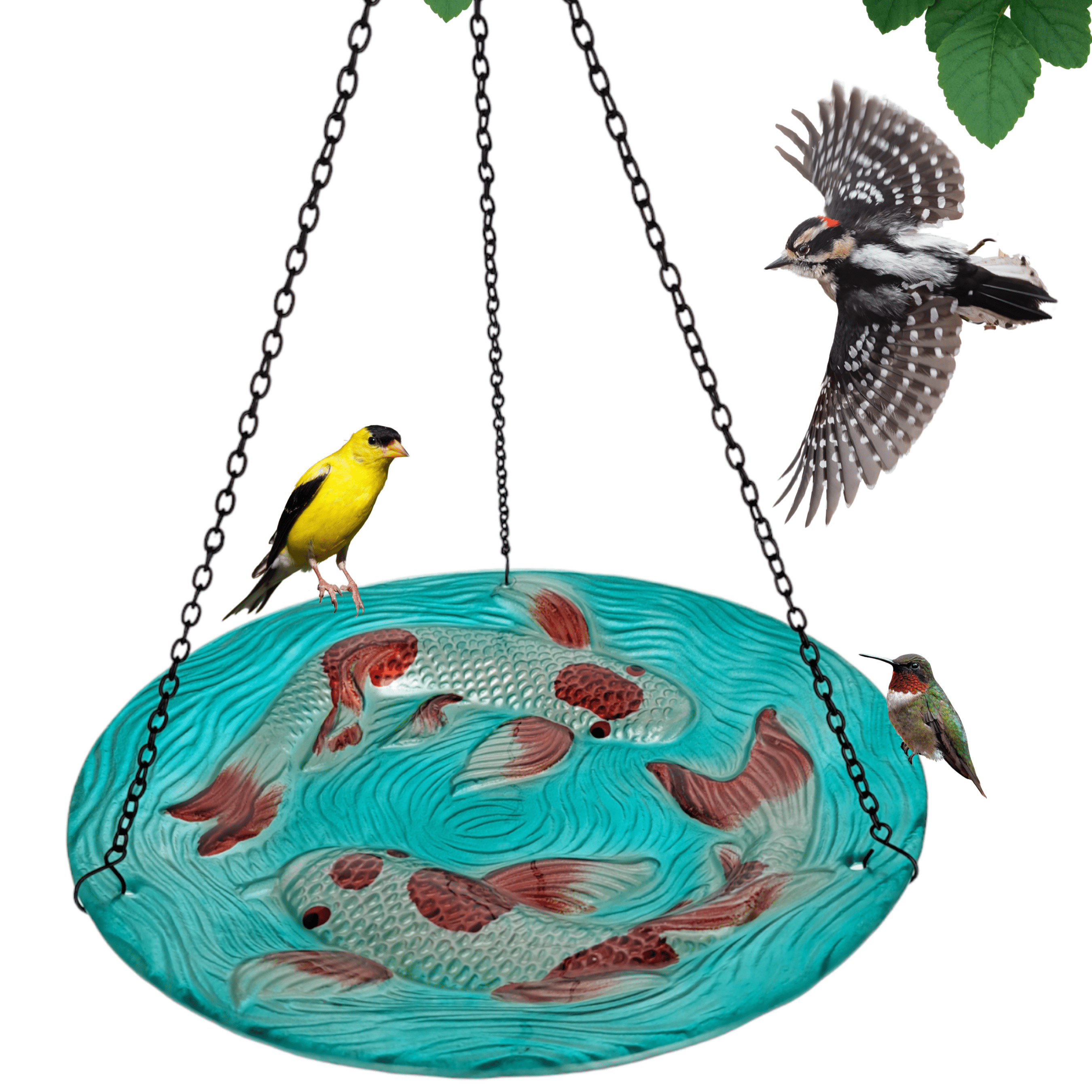 Songbird Essentials Outdoor Bird Bath, Hanging Glass Birdbath, Koi Pond ...