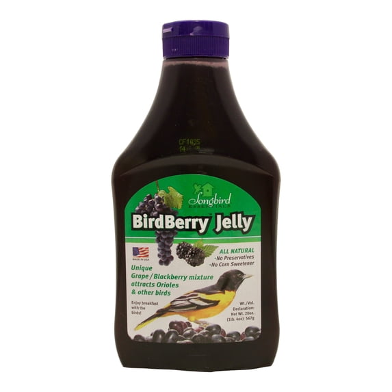 Songbird Essentials Birdberry Jelly, Wild Bird Food, Grape and ...