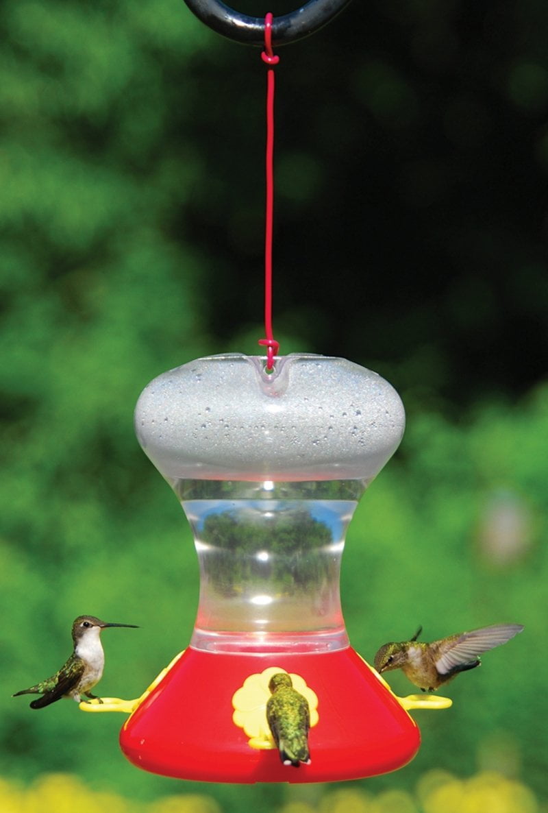 Humming Bird 360
