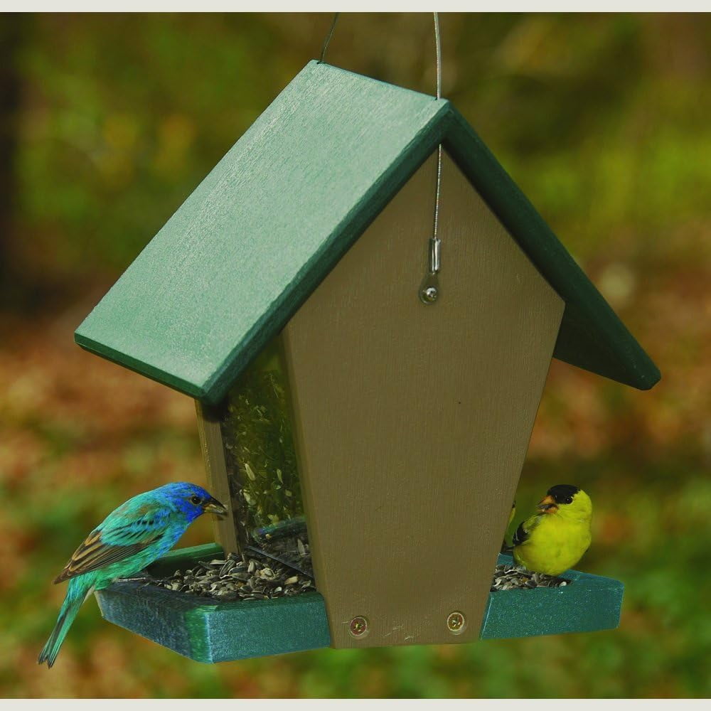 Songbird Essentials Small Hopper Feeder, Recycled Plastic Hopper Wild ...