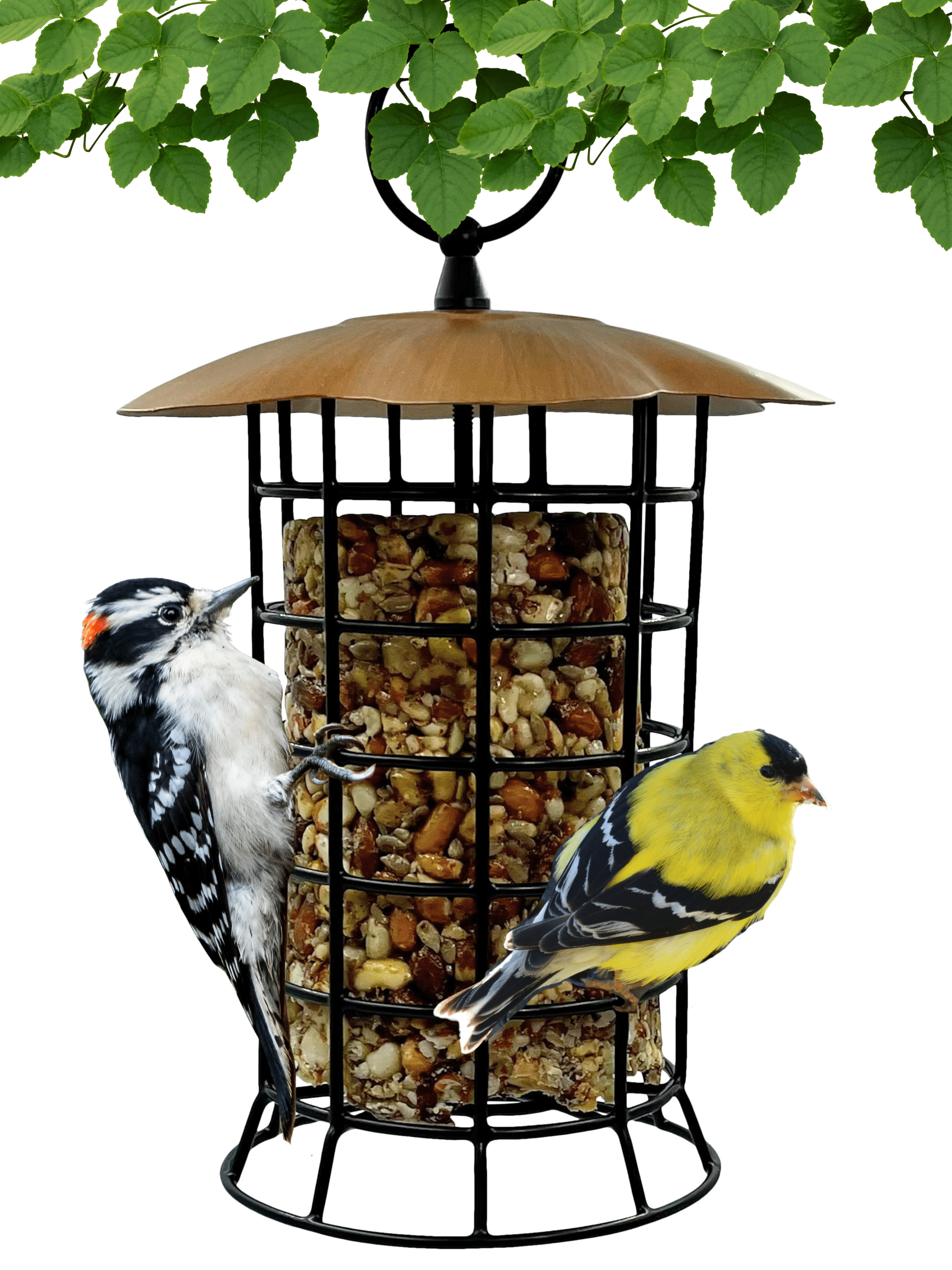 Songbird Essentials Finch Seed Outdoor Suet Feeder, Hanging Metal Bird ...