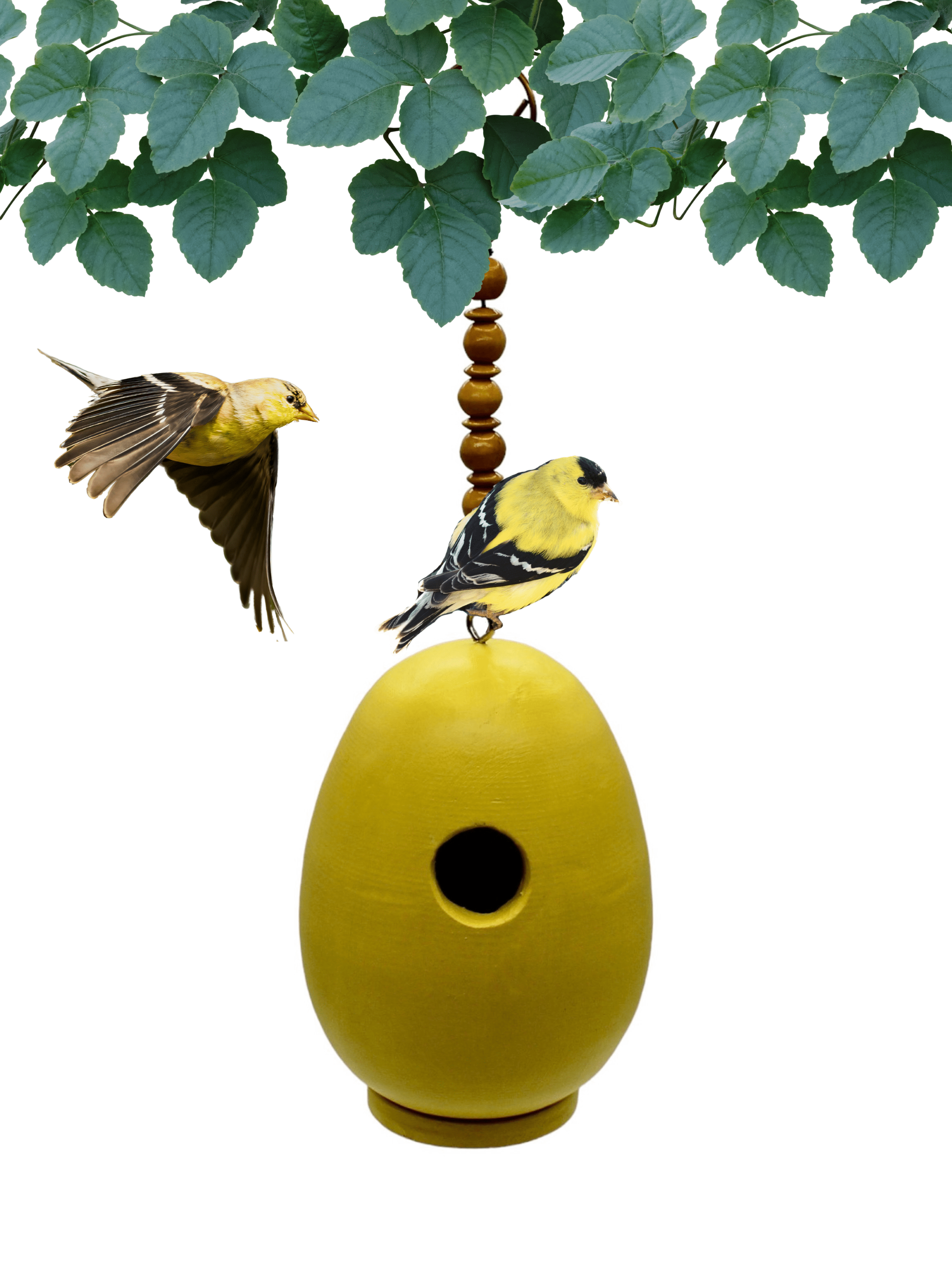Songbird Essentials Wooden Wren House, Outside Egg Bird House, Yellow 6 ...
