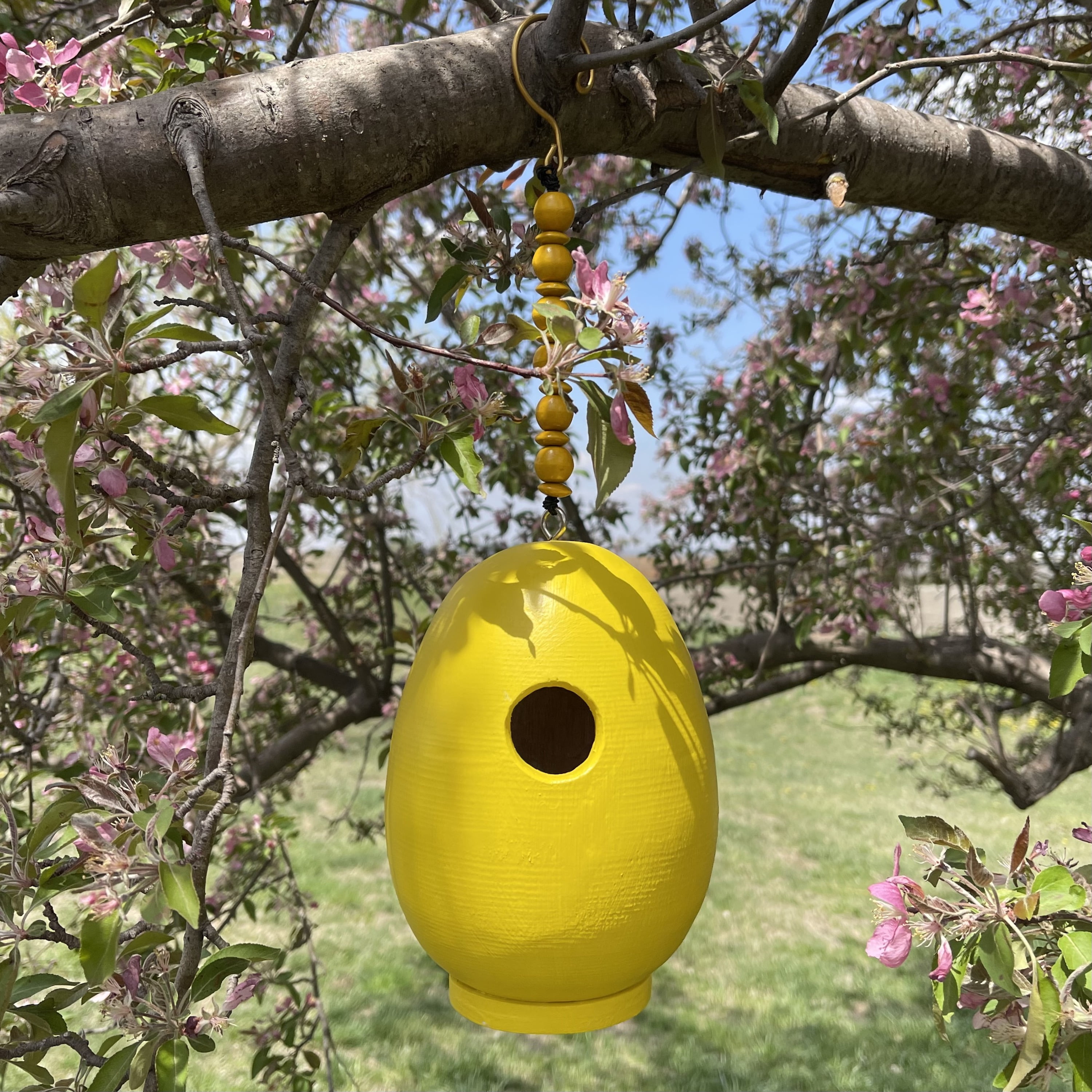 Songbird Essentials Wooden Wren House, Outside Egg Bird House, Yellow 6 ...