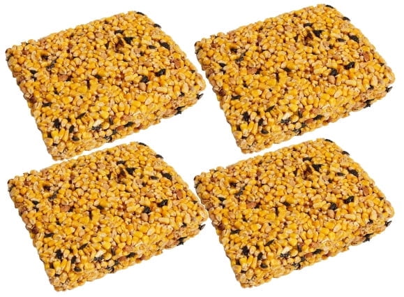 SONGBIRD TREATS Squirrel Seed Cakes, 4 Pack, Large 2 lb Bars for Wild ...