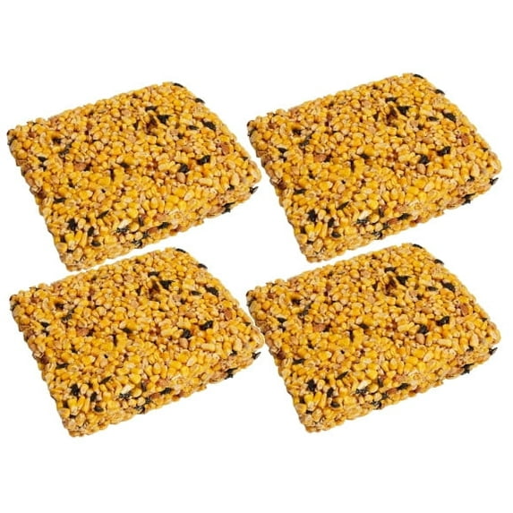 Songbird Treats Squirrel Seed Cakes Large 4 Pack | Pack of 4 Sqirrel 2 ...