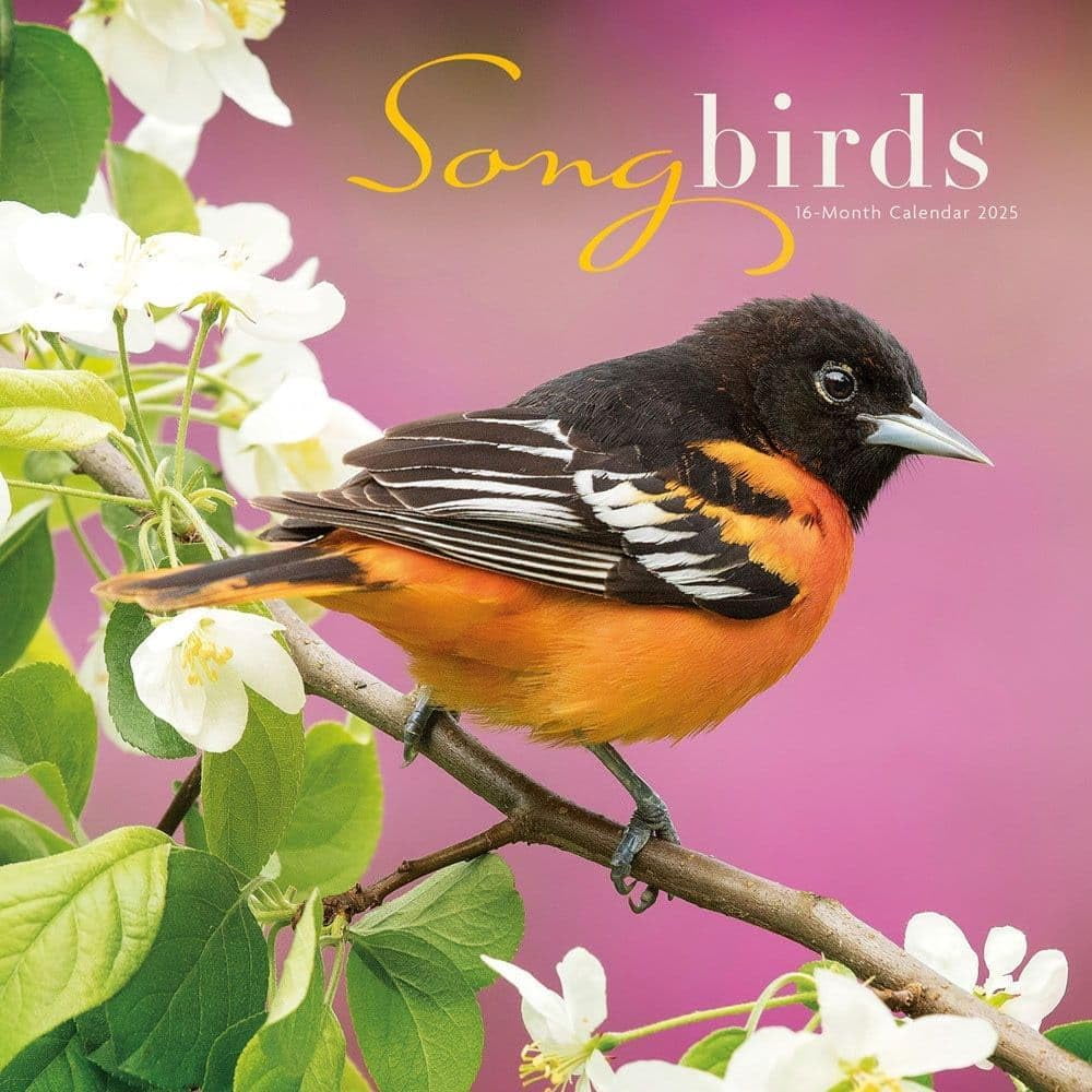 Songbirds 2025 Wall Calendar - Walmart.com