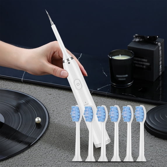 Sonic Electric Toothbrush with 6 Brush Heads & Toothbrush Tip, 3 Modes ...