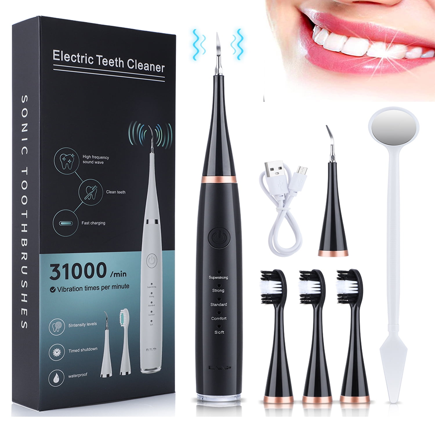Sonic Electric Toothbrush Kit with Dental Calculus Remover, 3 Brush ...