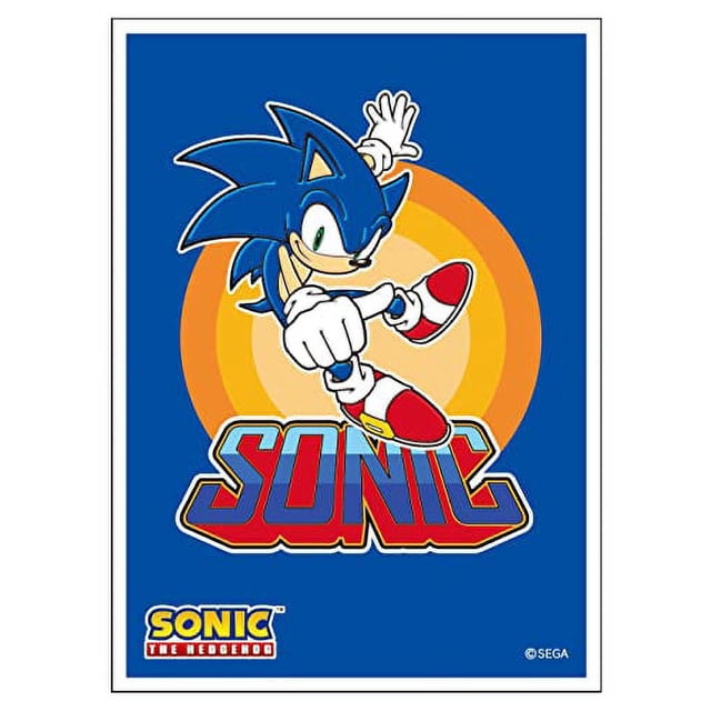 Sonic the Hedgehog Retro Arcade Sonic (EN-1193) Pack - Walmart.com