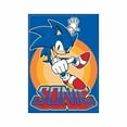 Sonic the Hedgehog True Blue Magnet - Walmart.com
