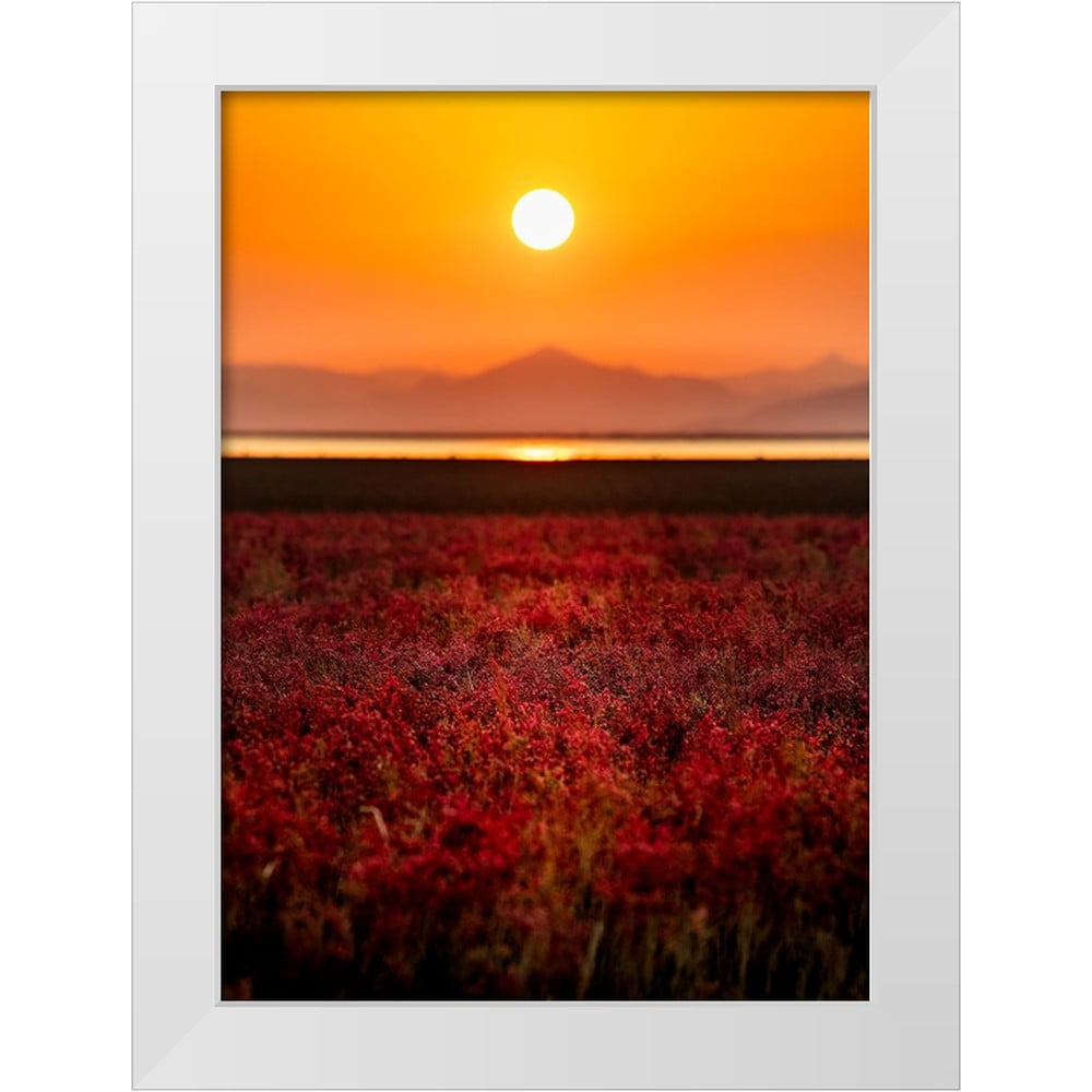 Sono, Hidenori 24x32 White Modern Wood Framed Museum Art Print Titled ...