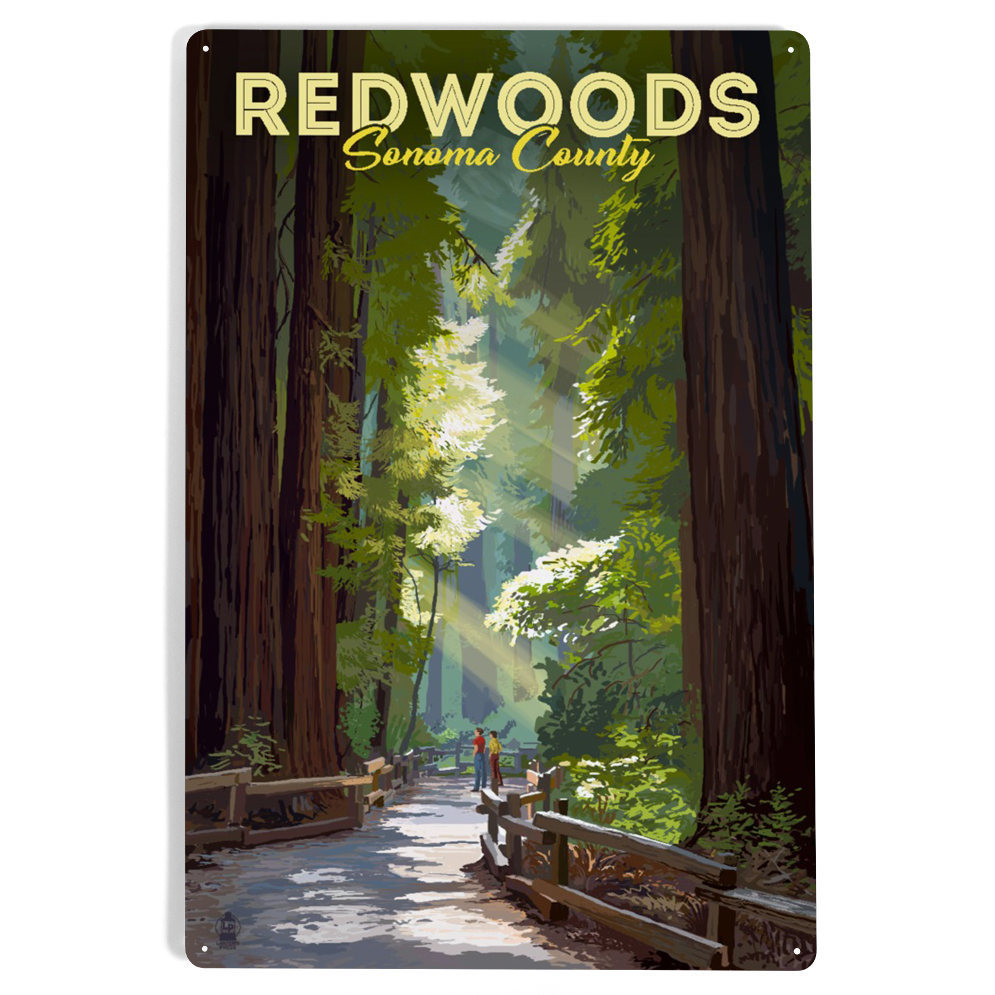 Sonoma County, California, Redwoods, Pathway in Trees (12x18 Aluminum ...