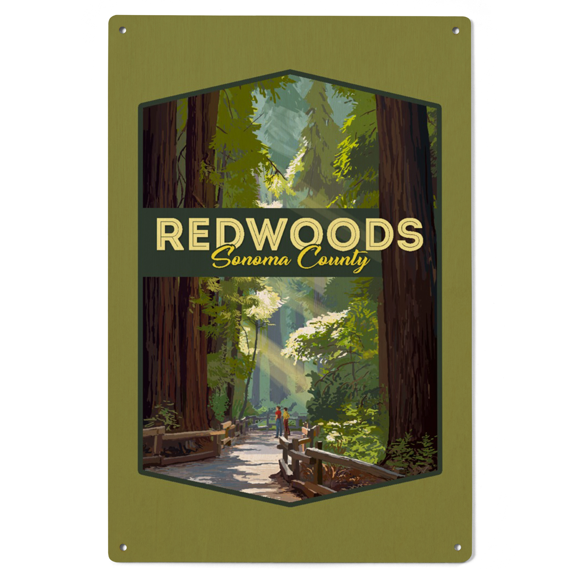 Sonoma County, California, Redwoods, Pathway in Trees, Contour Birch ...