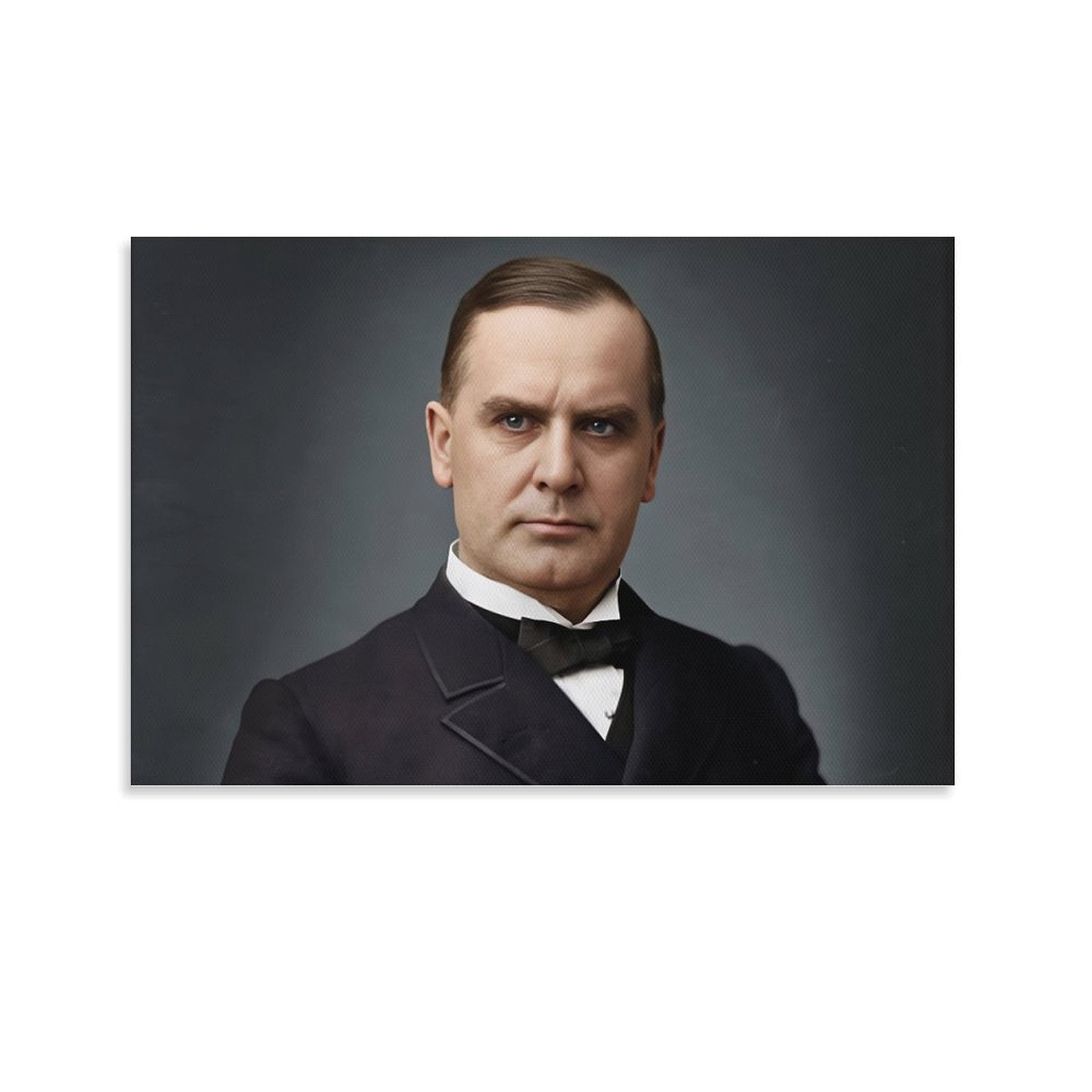 Sons of The American Revolution William McKinley Poster Print Photo Art ...