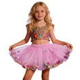 SonxaHe Toddler Girl' Skirt Stylish Elastic Waist Ballet Tutu Skirt ...