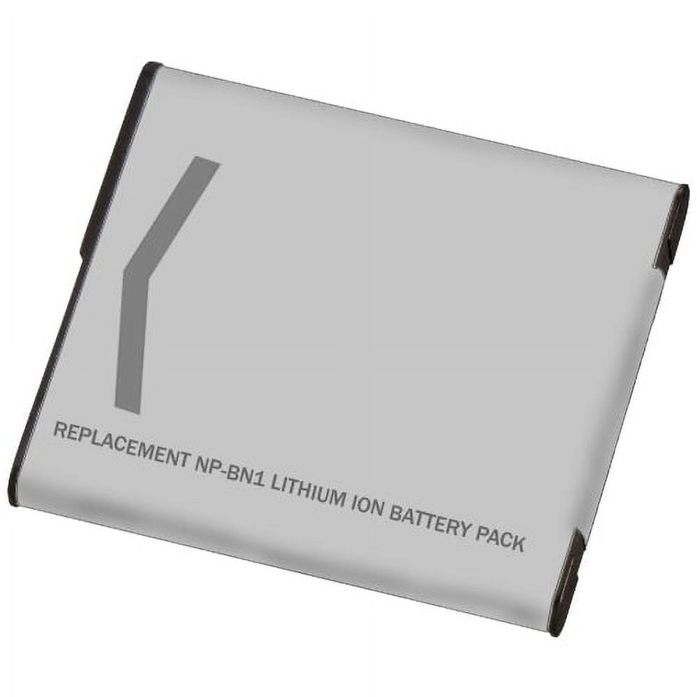 Sony Lithium Ion Batteries