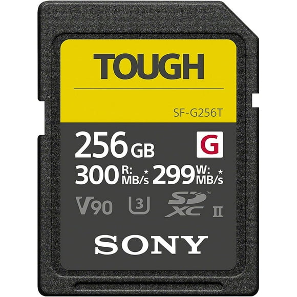 256 GB Memory Cards