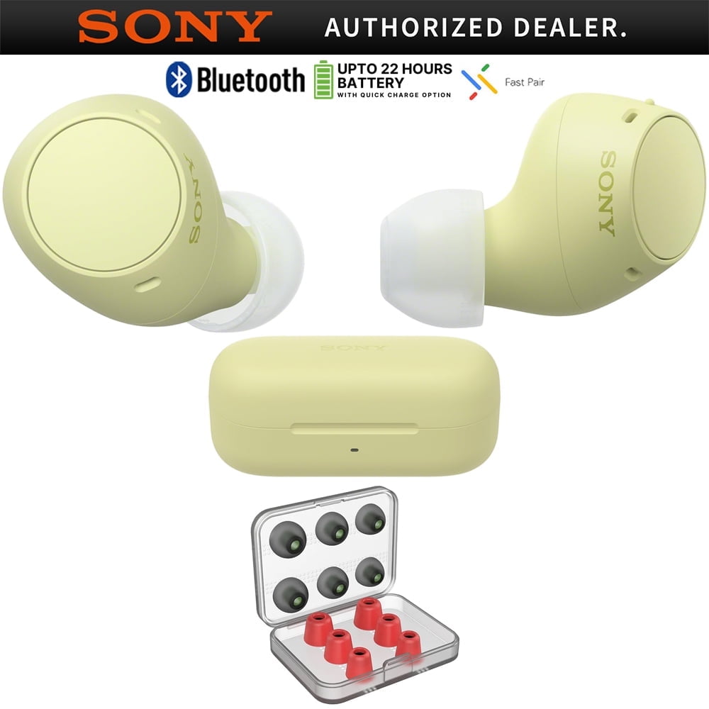 Sony WF-C510 Truly Wireless Earbuds with 22-Hour Battery, IPX4 ...