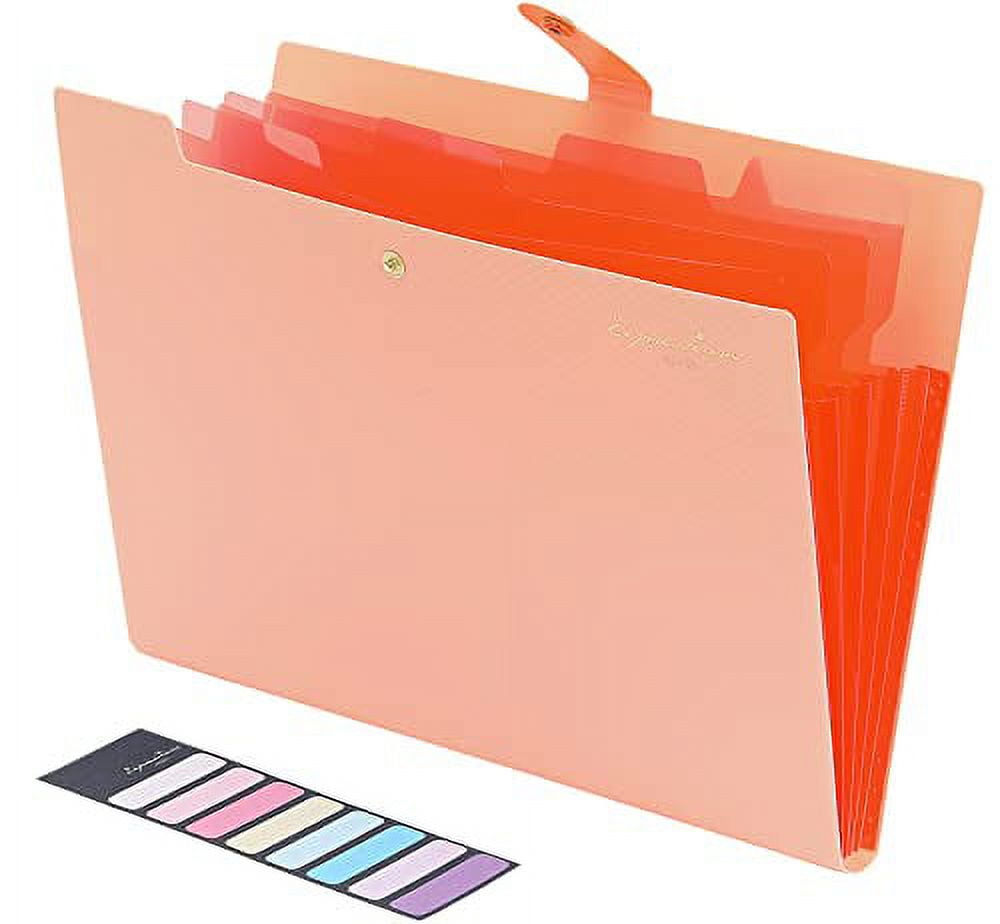 Sooez Cute Folders, 5 Pocket Folder with Labels, Letter Size Expanding ...