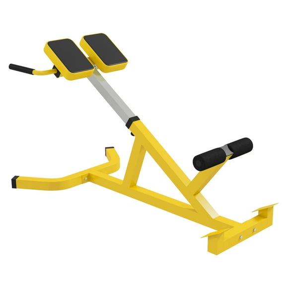 Back Extension Machine