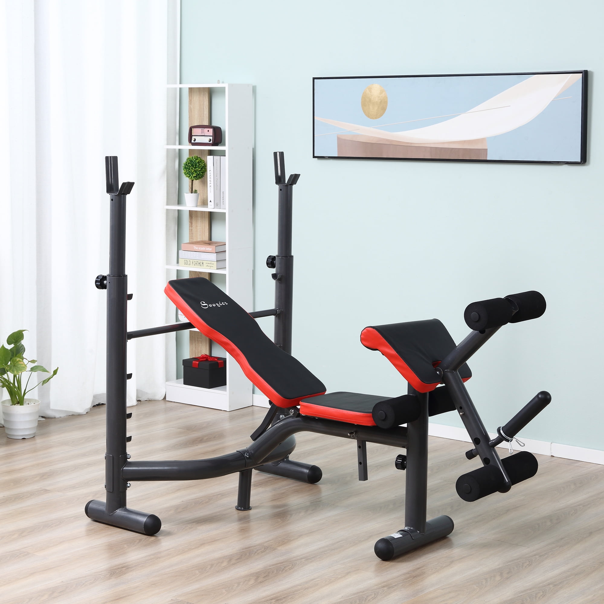 Soozier Adjustable Gym Equipment: Multi-Function Workout Bench with ...