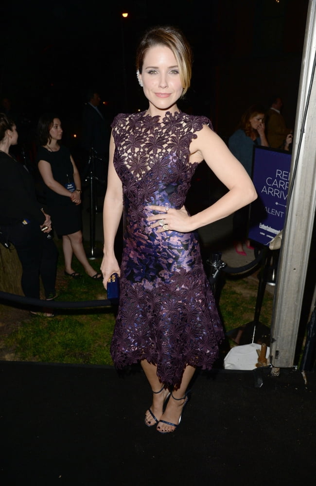 Sophia Bush (Wearing A Monique Lhuillier Dress) At Arrivals For ...