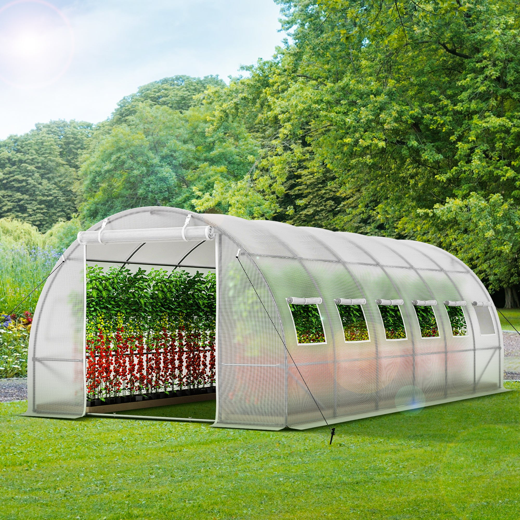 Sophia & William Large Portable Walk-in Greenhouse 10'x20'x6.6' with PE ...