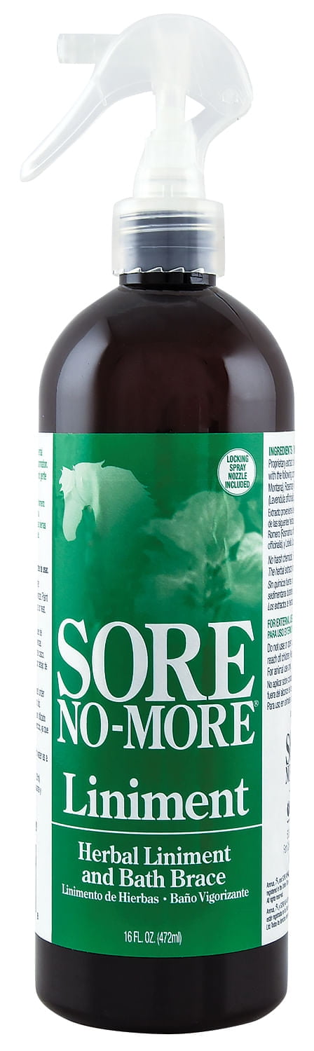 Sore No More Liniment Bottle with Sprayer (16-Ounce) - Walmart.com