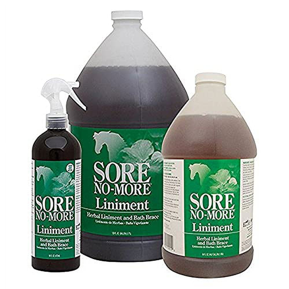 Sore No More Liniment Bottle with Sprayer (16-Ounce) - Walmart.com