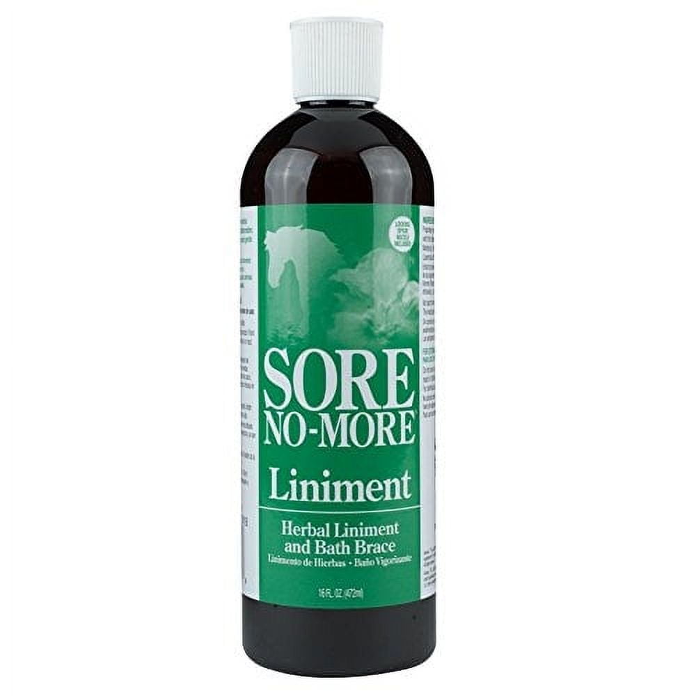 Sore No More Liniment Bottle with Sprayer (16-Ounce) - Walmart Business ...