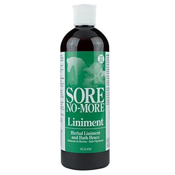 Sore No More Liniment Bottle with Sprayer (16-Ounce) - Walmart Business ...