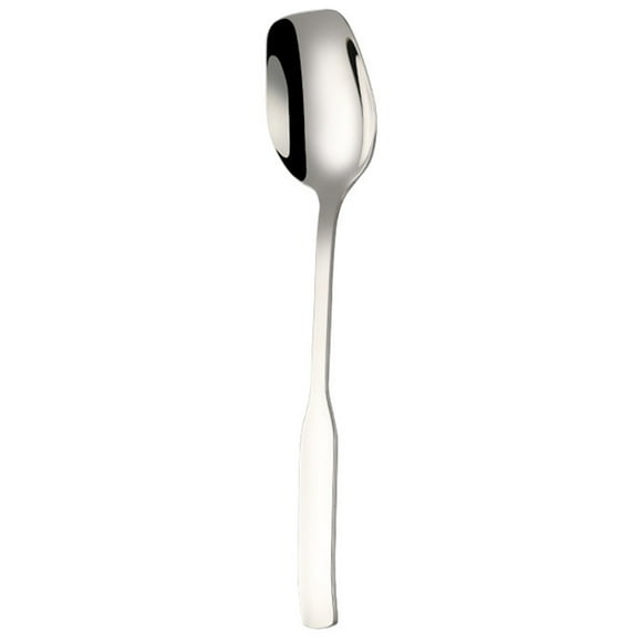 Flat Edge Spoon