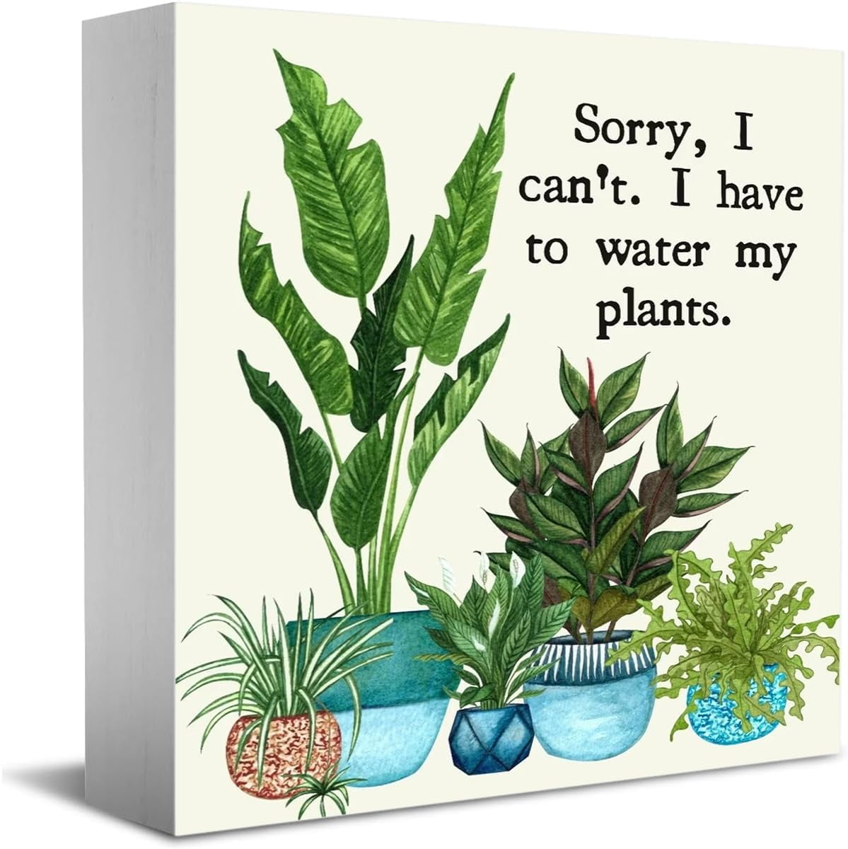 Sorry I Cant Have To Water Plants Rustic Spring Office Desk Decor Cute ...