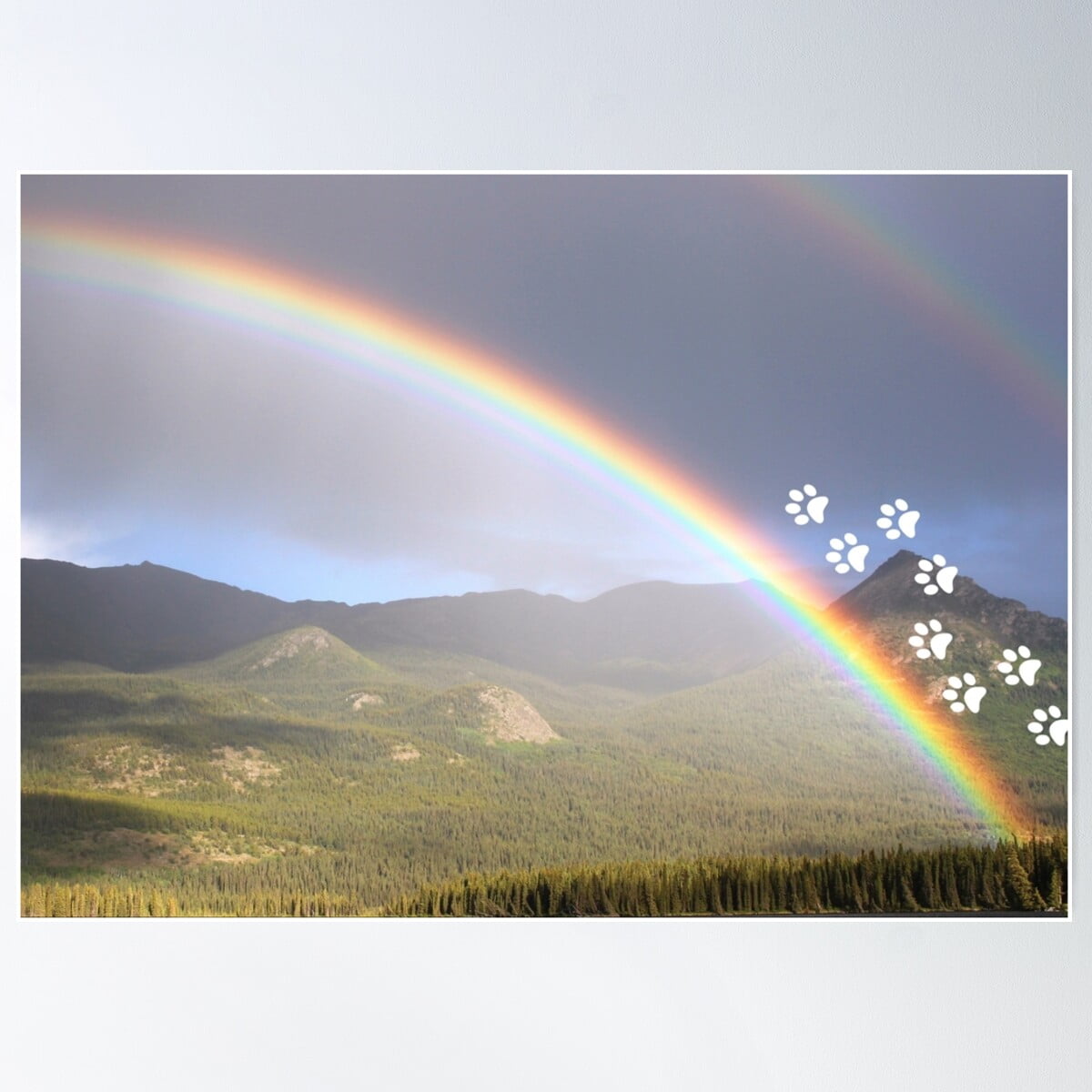 Sorry For Your Loss For A Pet Going Over The Rainbow Bridge - Pet Loss ...