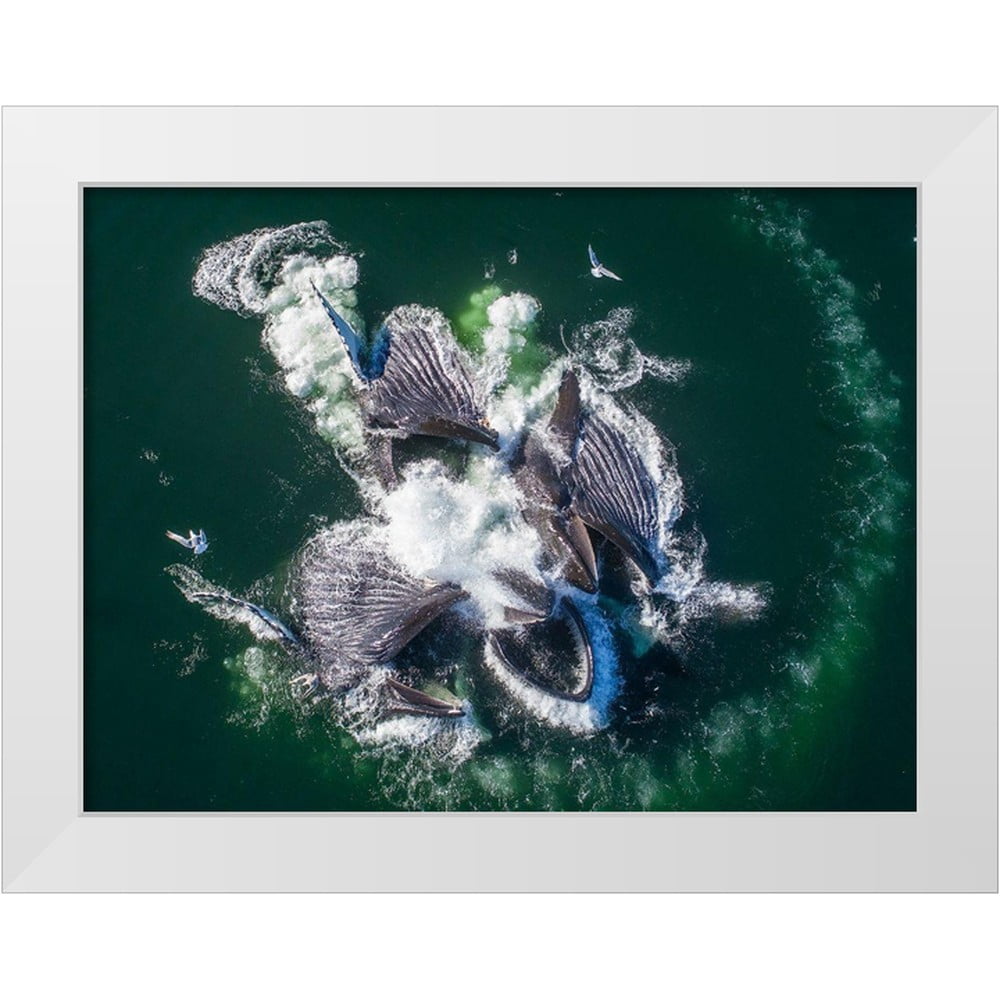 Souders, Paul 14x12 White Modern Wood Framed Museum Art Print Titled ...
