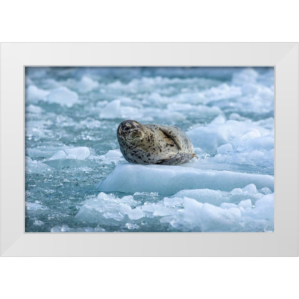 Souders, Paul 32x23 White Modern Wood Framed Museum Art Print Titled ...